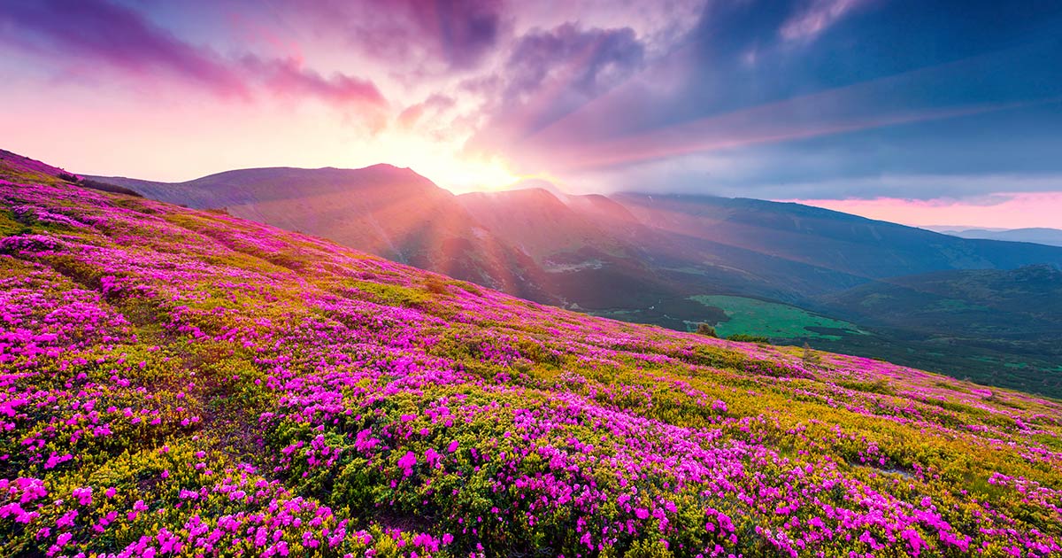 Featured Community Posts on Kudos 365